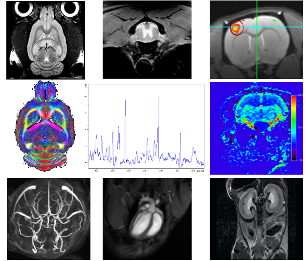 小动物活体成像系统（MRI）